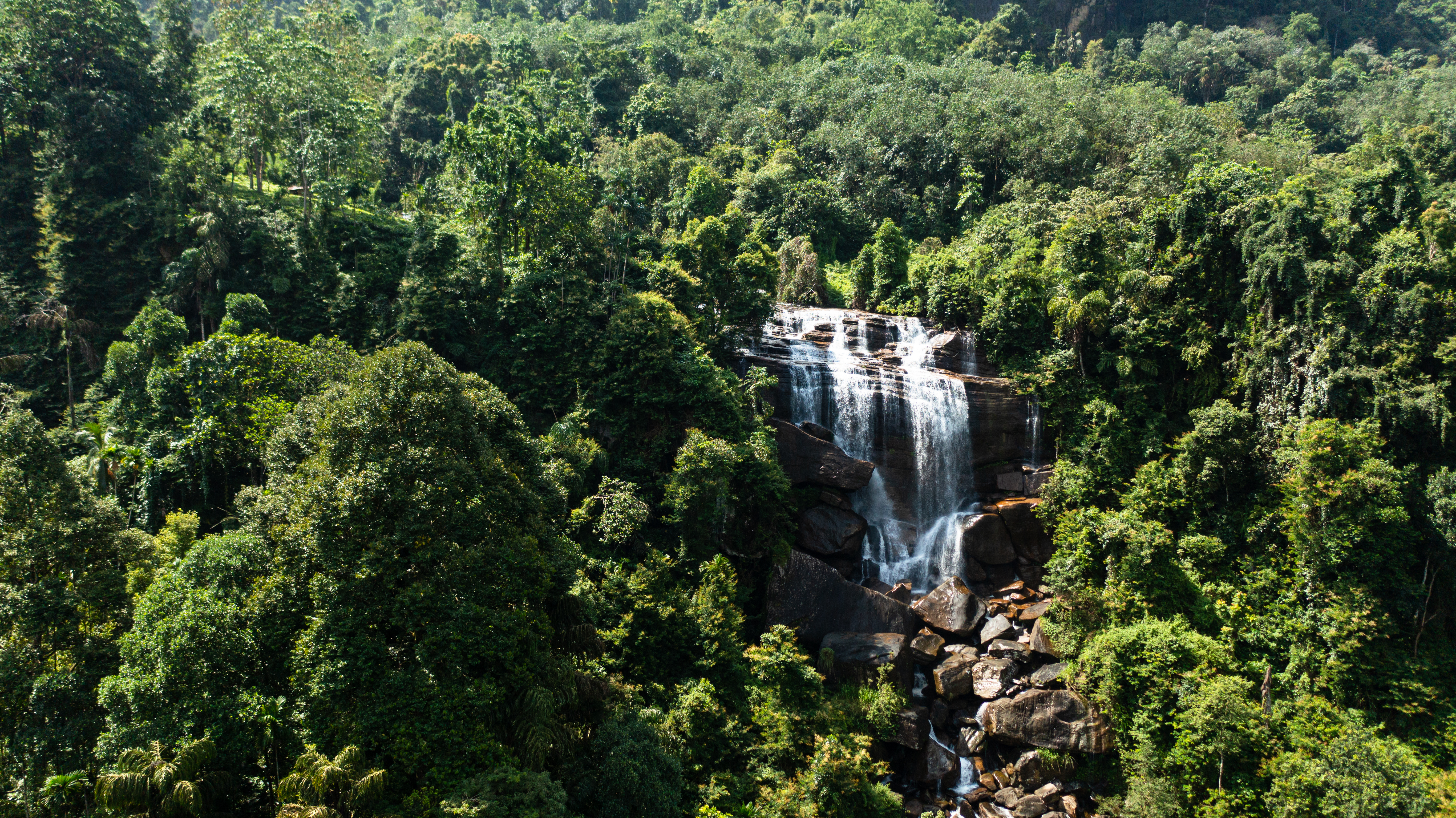 Indigenous Culture of A Veddah Village | Walkers Tours